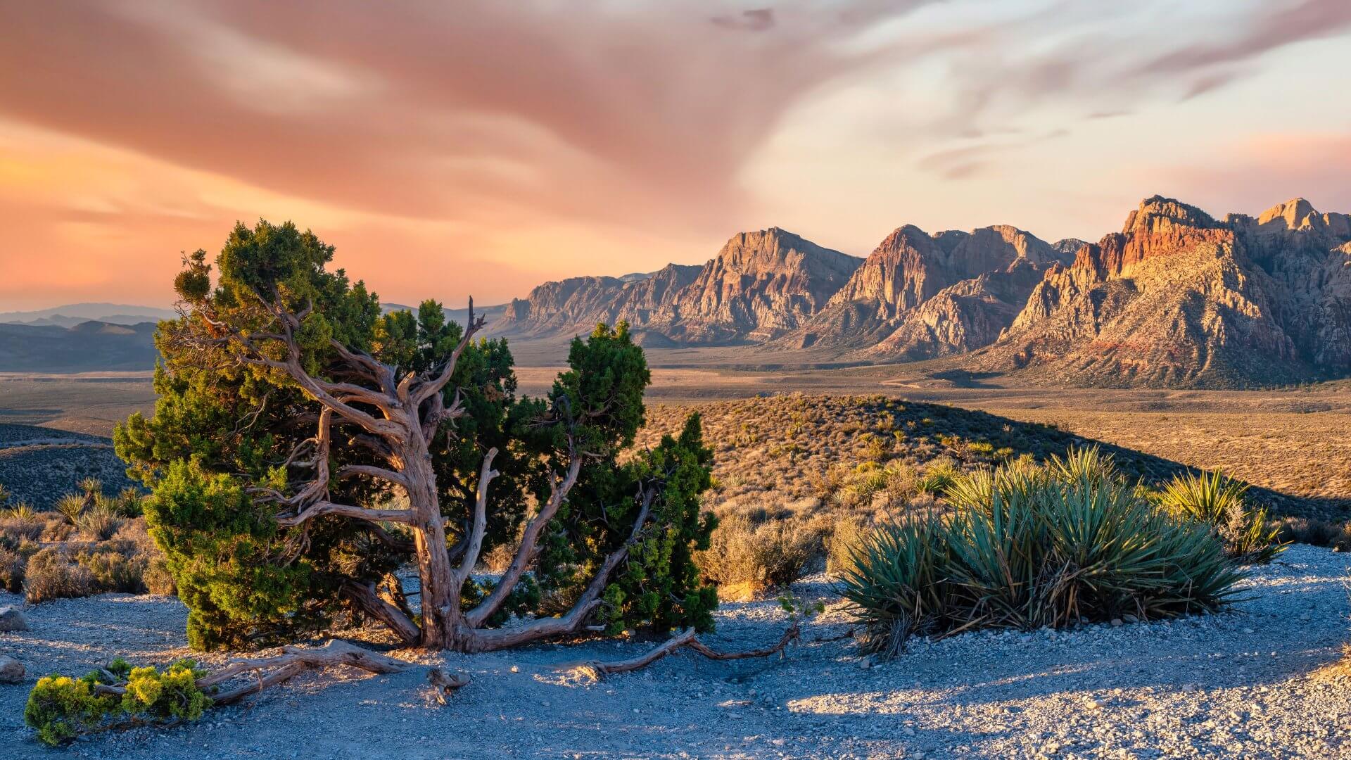 Blue Heron Homes | Red Rock Canyon | The Ridges Community